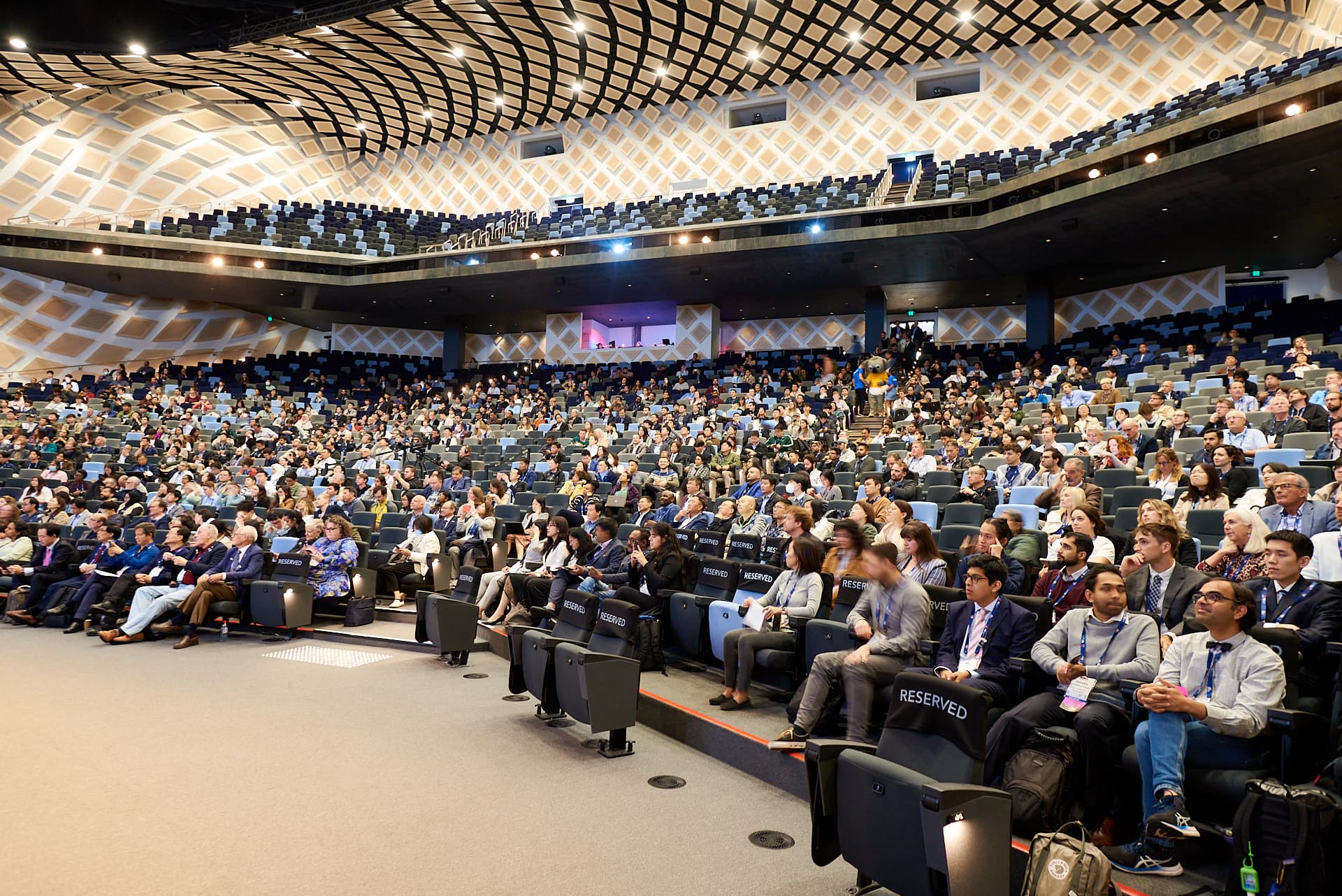 WordFest Live: An Online Festival Celebrating WordPress Transformation ...